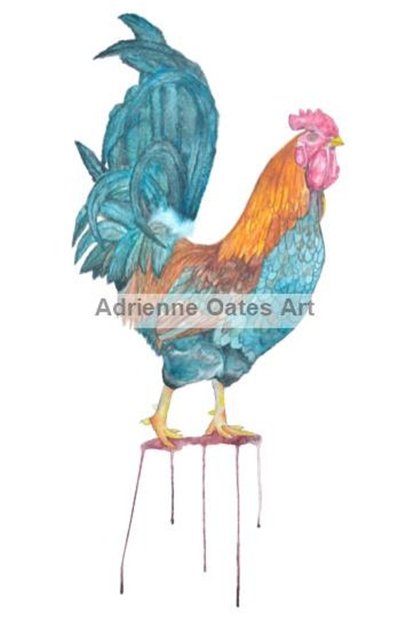 Rooster Print – Adrienne Oates Art